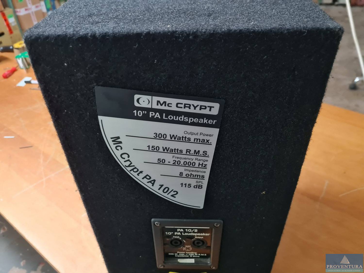Lautsprecher MC CRYPT 10" PA Loudspeaker PA 10/2