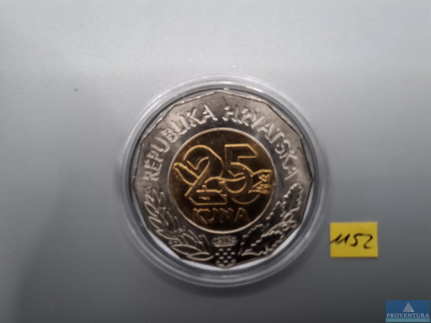 Sammlermünze Kroatien 25 Kuna 1997 Danube Region st